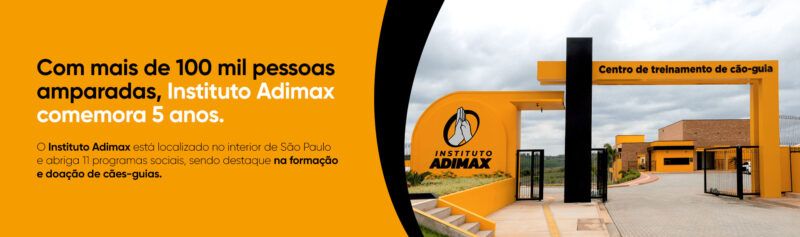 Com mais de 100 mil pessoas amparadas, Instituto Adimax comemora 5 anos